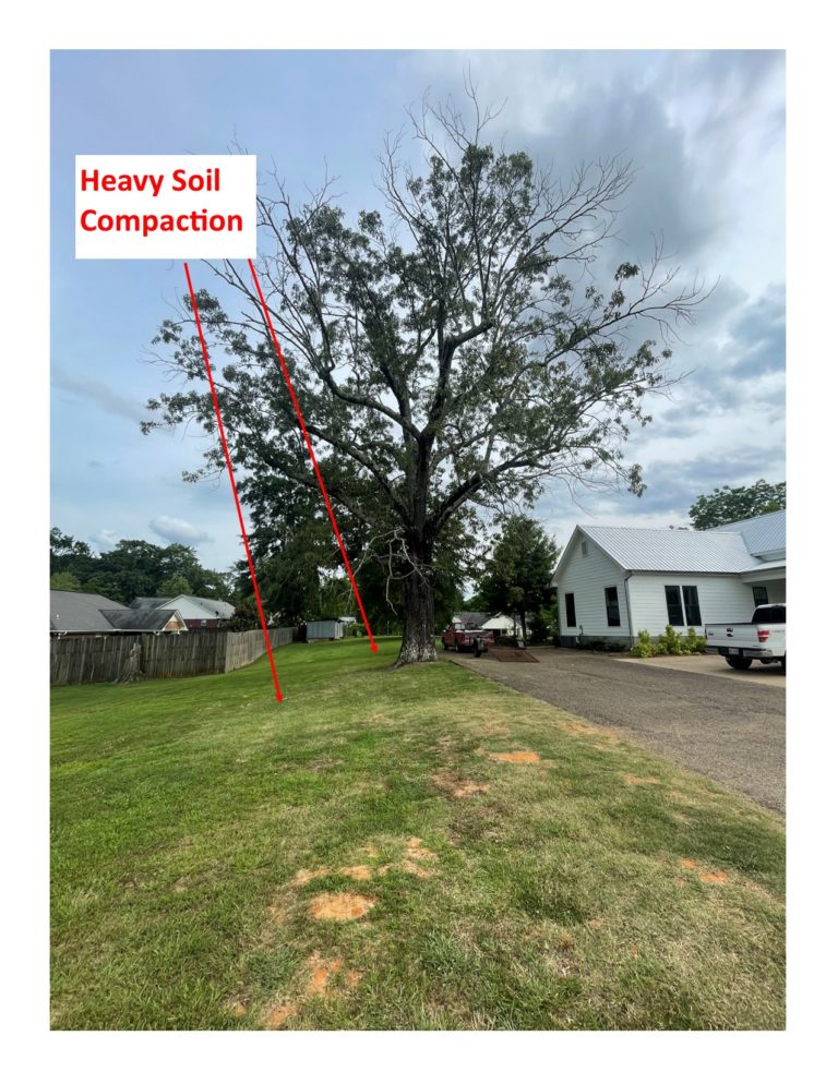 Soil Compaction: The Root Killer – Fulgham's Inc