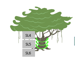 Tree Radar Mapping – Fulgham's Inc