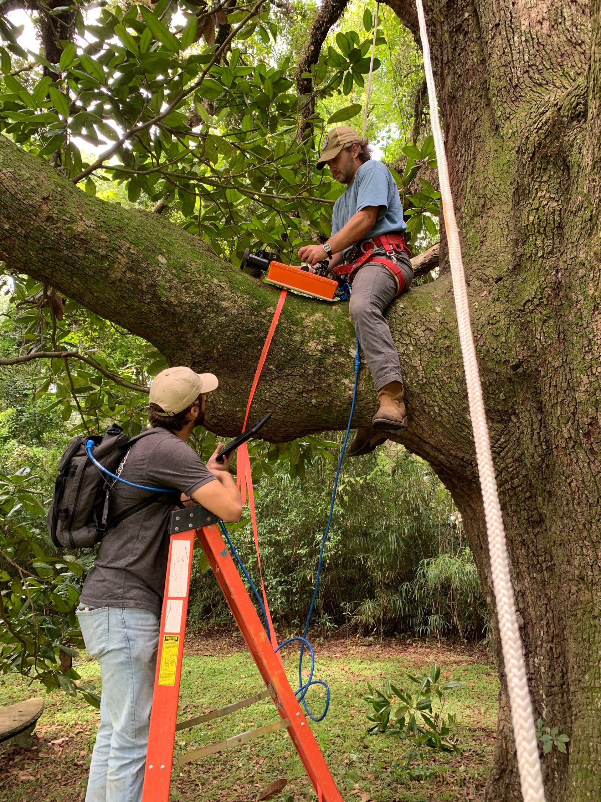 Scanning Branches – Fulgham's Inc